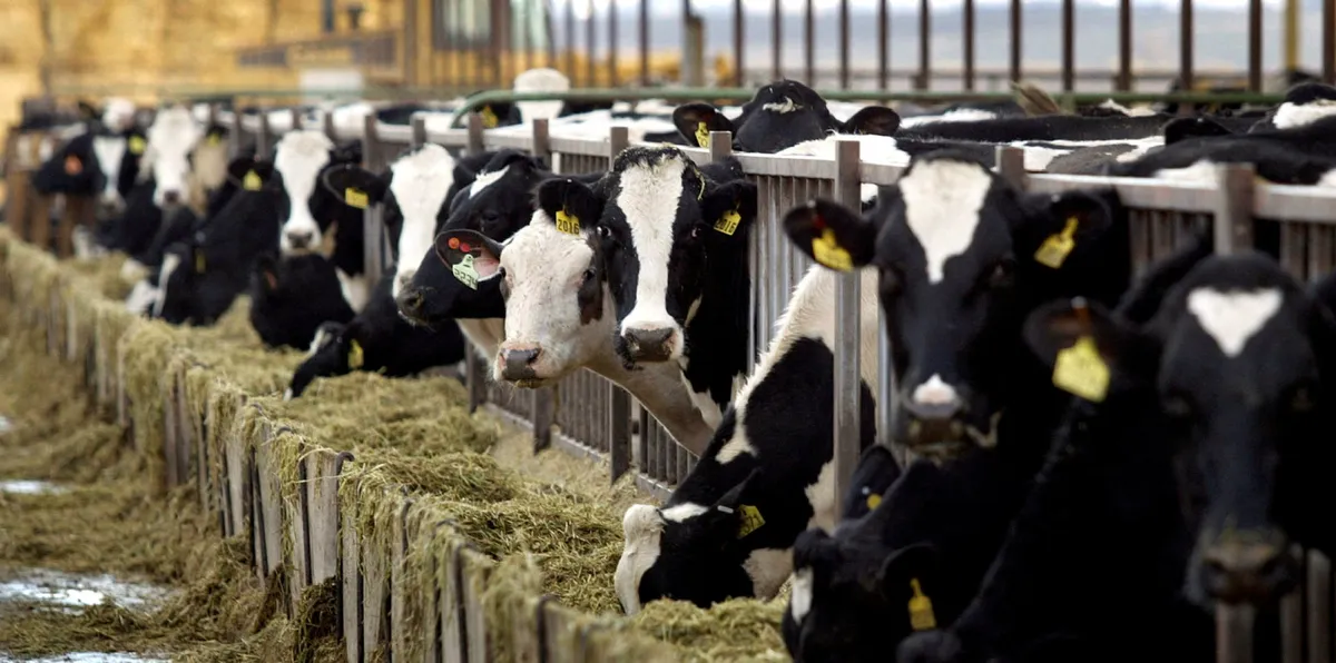 Chevron's Brightmark to produce its first RNG in California | Upstream