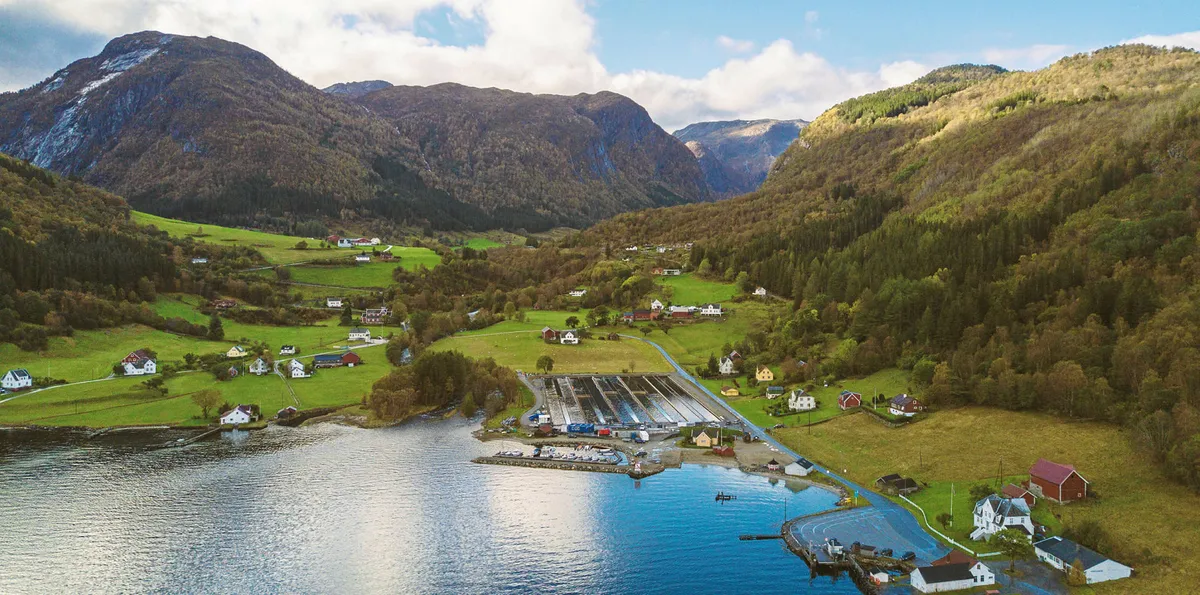 Norwegian land-based halibut farmer seeking investors | Intrafish