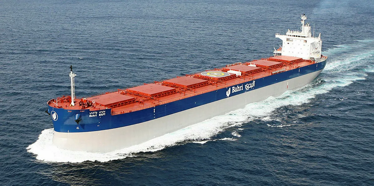 Saudi Arabian fleet grows 28%