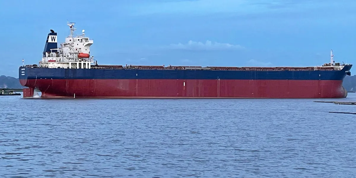W Marine jumps into ultramax bulker market after profitable sale of ...
