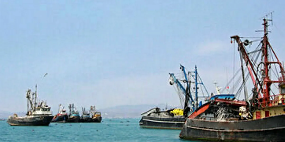 Peru southern anchovy season primed for Aug. 1 start; quota cut 19% ...